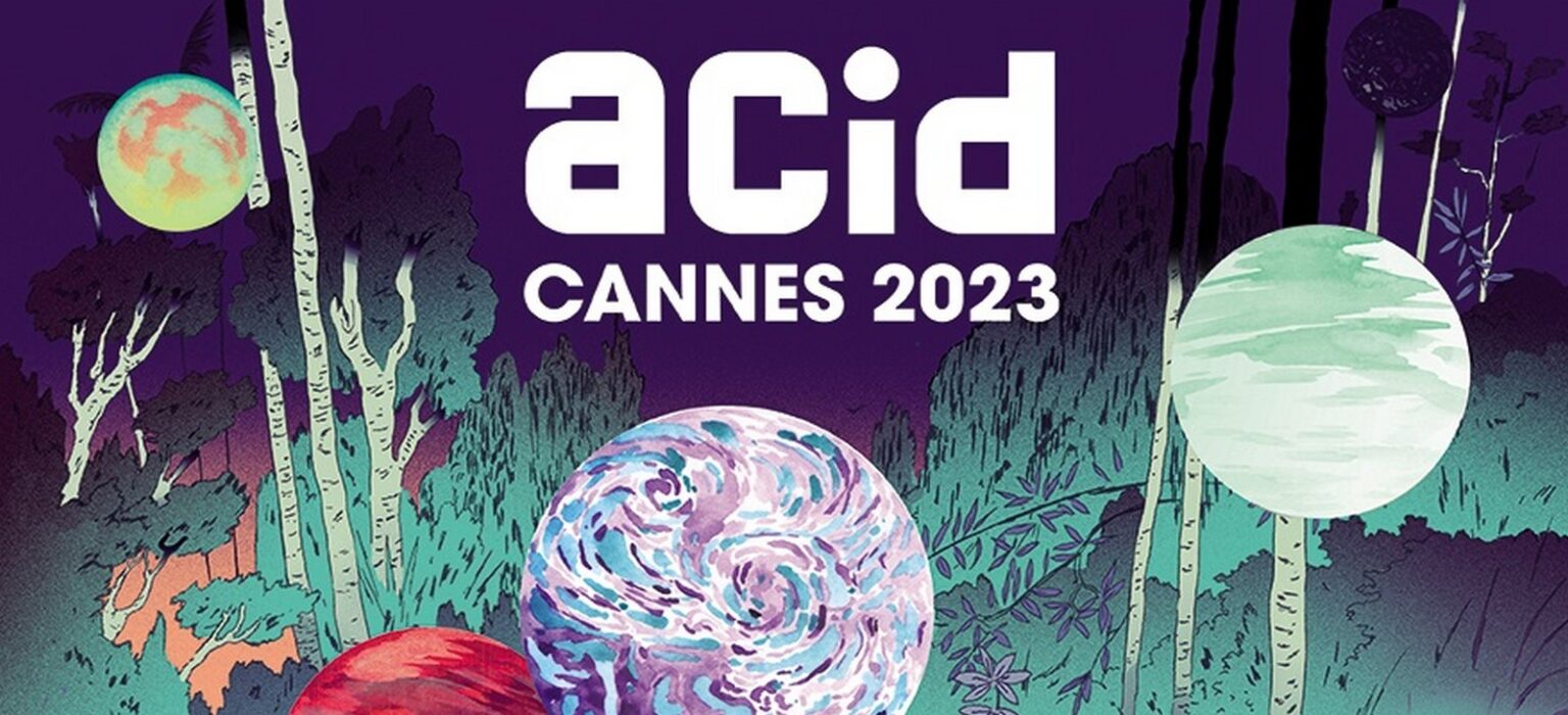 La sélection de l'ACID 2023 - Le Polyester