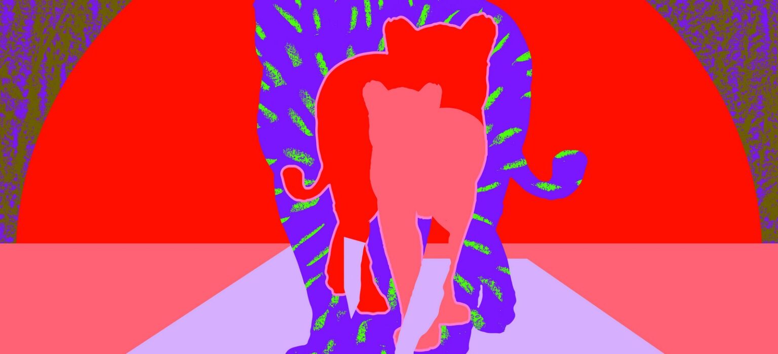 Les films d'ouverture et de clôture du Festival de Rotterdam 2025 - Le ...